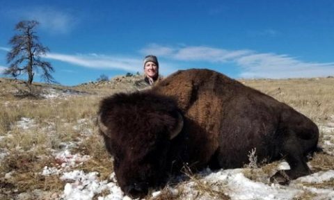 Twin Pine Bison Co, Wheatland, WY | Bison Hunting in Laramie