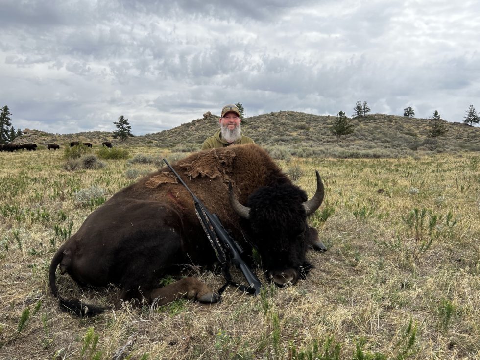 Twin Pine Bison Co, Wheatland, WY | Bison Hunting in Laramie